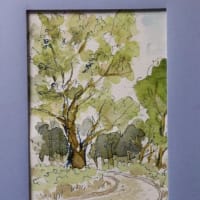 八尾木公園 知美の絵手紙
