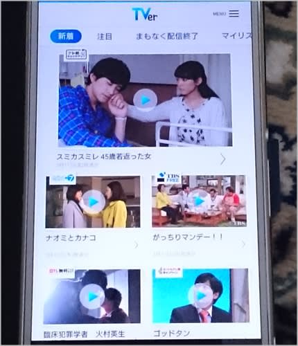 「TVer」、「お昼寝アーカイブ」 - 愛猫とシエスタ(午睡)