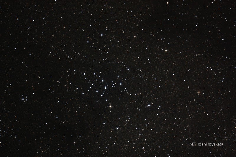 黄道12星座シリーズ_さそり座(蠍) - 春日市白水大池公園 星の館 黄道12星座シリーズ_さそり座(蠍) - 春日市白水大池公園 星の館