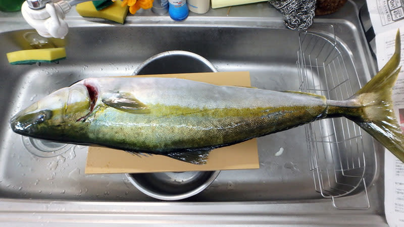 まさに修行!粘り倒してセブンマイルズ入魂! - 進め!Gucchan号! まさに修行!粘り倒してセブンマイルズ入魂! - 進め!Gucchan号!