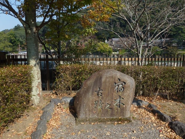 今日の一枚~ヤドリギ - なつみかんの木々を見上げて 今日の一枚~ヤドリギ - なつみかんの木々を見上げて