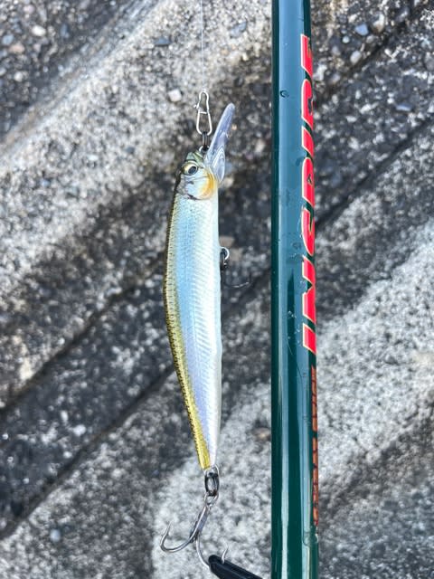 連日のエリアトラウト‼️ | バス釣りハンターハンター 連日のエリアトラウト‼️ | バス釣りハンターハンター