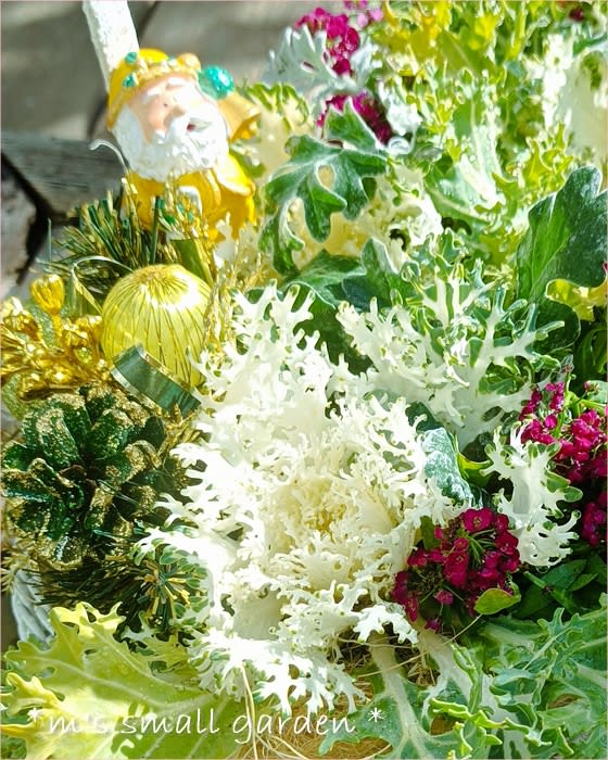クリスマスの小さなバスケット*簡単に寄せ植えです♪ - * m's クリスマスの小さなバスケット*簡単に寄せ植えです♪ - * m's