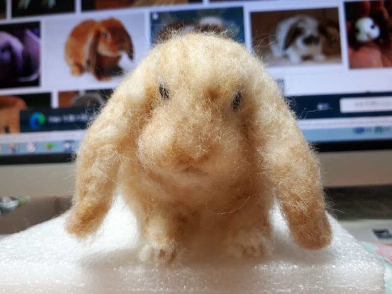 ロップイヤーのウサギさん❗ - 馬とか猫とか鳥とか恐竜とか! ロップイヤーのウサギさん❗ - 馬とか猫とか鳥とか恐竜とか!