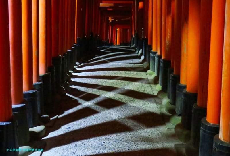 京都幕間旅情】伏見稲荷大社,宇迦之御魂神は須佐之男命と伊邪那 京都幕間旅情】伏見稲荷大社,宇迦之御魂神は須佐之男命と伊邪那