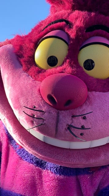 670 TDL×不思議の国のアリス(7月28日 お誕生日おめでとう 670 TDL×不思議の国のアリス(7月28日 お誕生日おめでとう