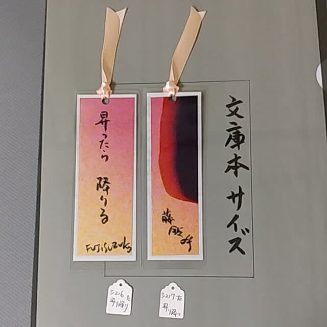 昇り降り - FUJISUZUKO