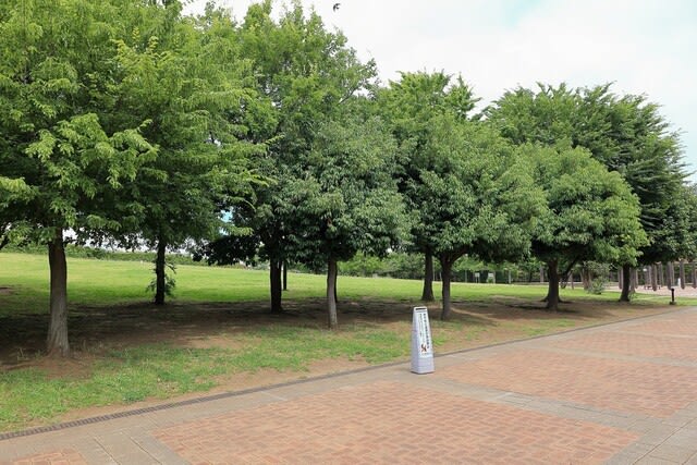 ぽかぽか広場（世田谷区） - ドラゴンのホームページ http://home.d06.itscom.net/dragon/ ブログ