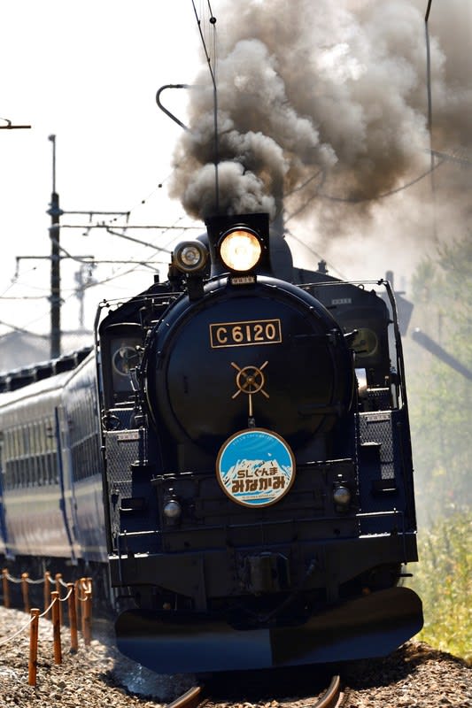上越」SL C61－20！！ - C62－48の鉄道写真日記