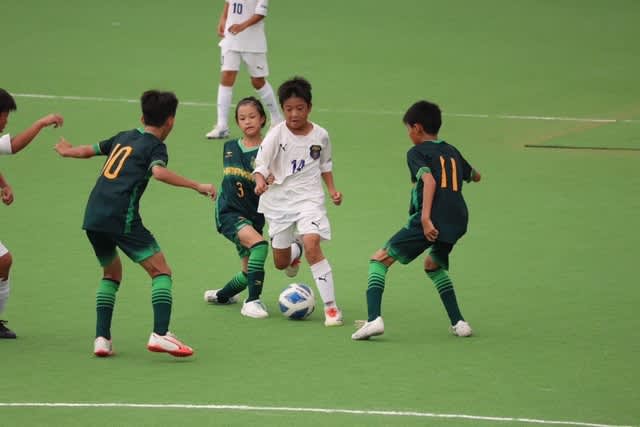 出雲ドーム杯 - hamayamafc