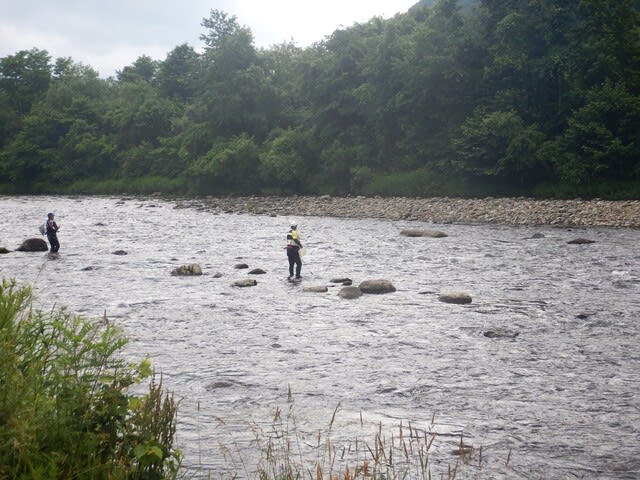 25-07-06 背掛かりDNA - 爺つぁま日記