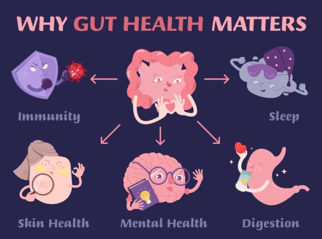 腸の健康を優先しよう - 公開メモ DXM 1977 ヒストリエ