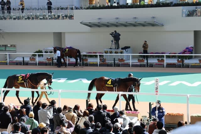 2025年3月9日 阪神競馬場へ 1回阪神4日 11R大阪城S 中山11R弥生賞 - 日々馬道楽