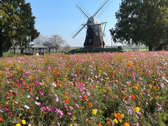 今日いち-2024年10月28日 - 公開メモ DXM 1977 ヒストリエ