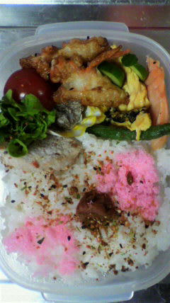 サクラ臀部 - FUJISUZUKO