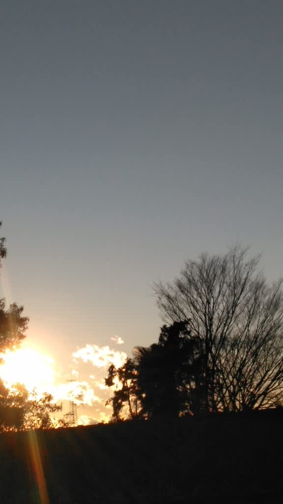 今日も朝は氷点下。 - kyoko-ky211のブログ