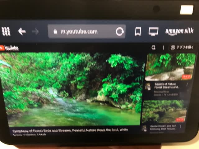 Wi-Fi依存症 - つぶや句