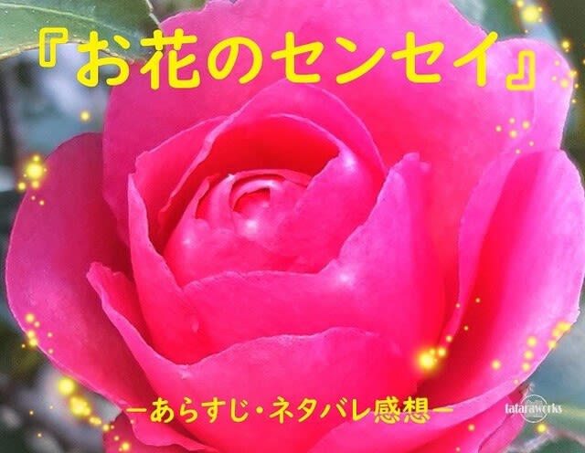 沢口靖子〖お花のセンセイ〗第2弾感想。議員2期目は疑惑から始まる たたらワークス★漫画・ドラマ・小説のネタバレ感想