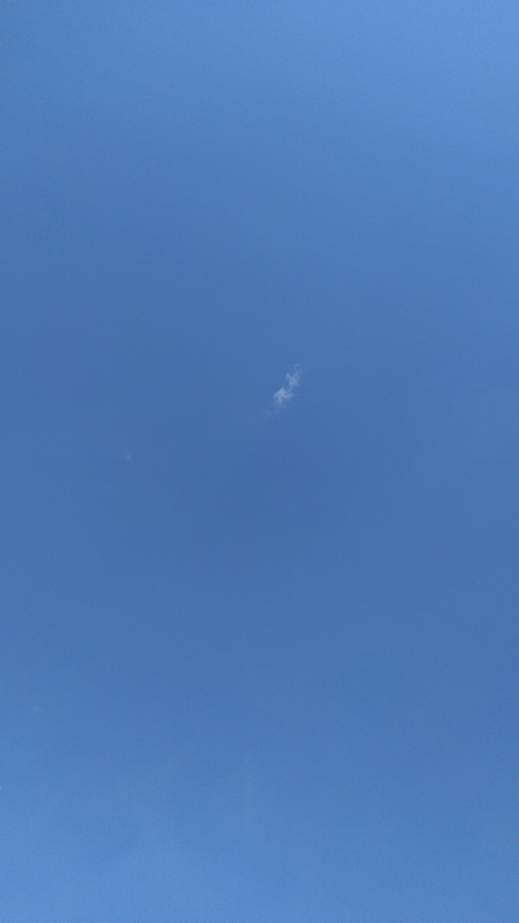 凄い冷え込みです。 - kyoko-ky211のブログ