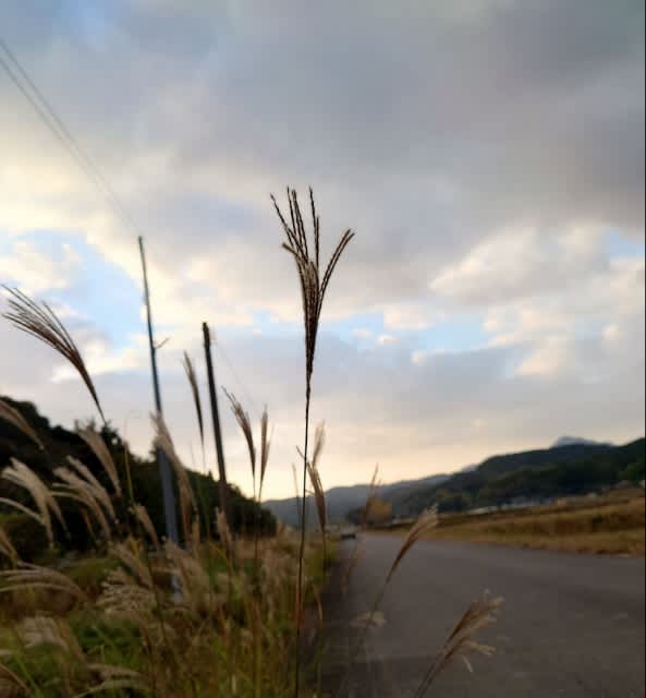 歩く - 夢音(ゆのん)～風のおるごーる～ atelier JUNON