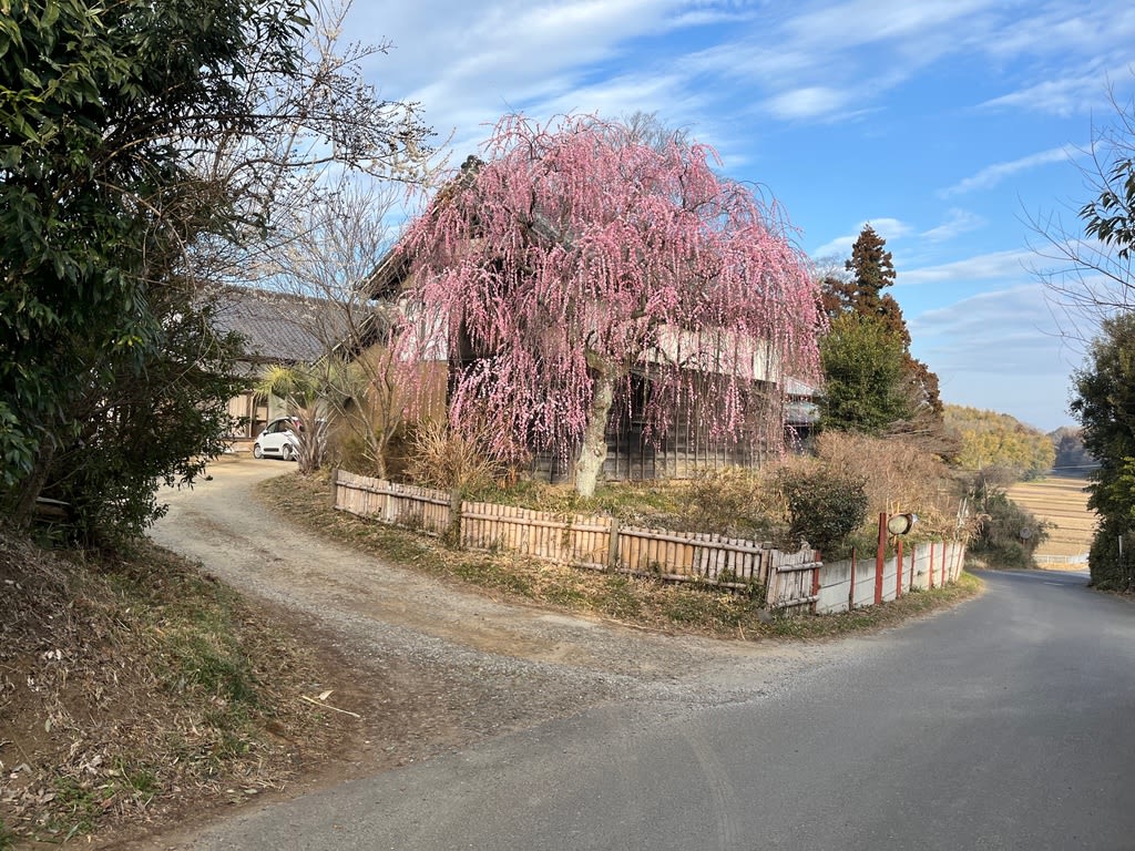 この春初めて鶯のさえずりを聞く - 公開メモ DXM 1977 ヒストリエ