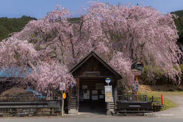 檜原村～あきる野市 ～ by空倶楽部 - Morinoki 2011