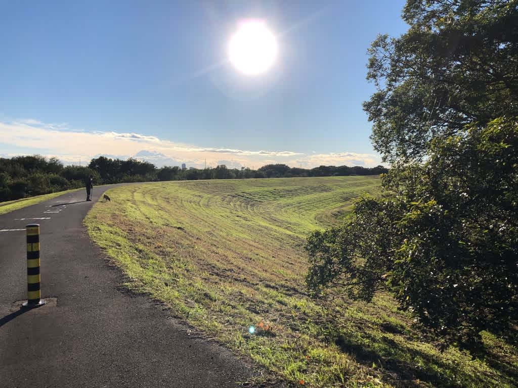 今日はいい天気だった - 公開メモ DXM 1977 ヒストリエ