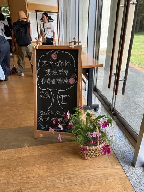 【NPO】2024年8月30日（金）「木育・森林環境学習指導者講座」 - NPO法人Akitaコドモの森