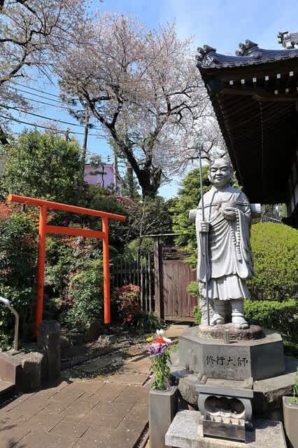 散りゆく桜を惜しんで増明院 - ドラゴンのホームページ http://home.d06.itscom.net/dragon/ ブログ