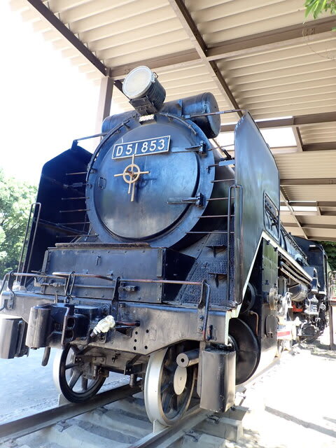 飛鳥山公園 - 鉄道写真館