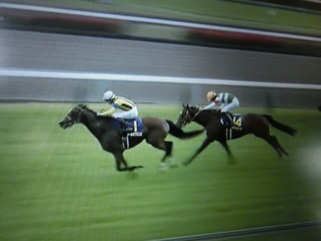 2023年4/16のWIN5は5万2000円：第83回 皐月賞 ソールオリエンス大外一閃！豪快V！：第28回 アンタレスステークス プロミストウォリア逃げ切り5連勝V！ - 公営競技はどこへ行く